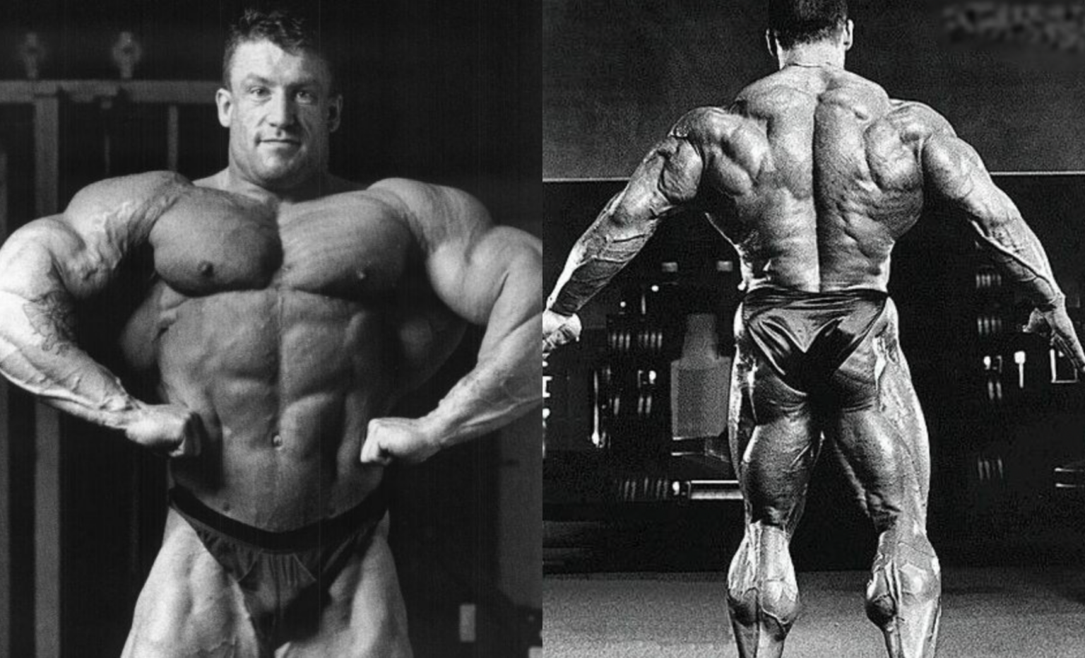 Dorian Yates: idade, altura, peso, títulos e história - Esporte na Net